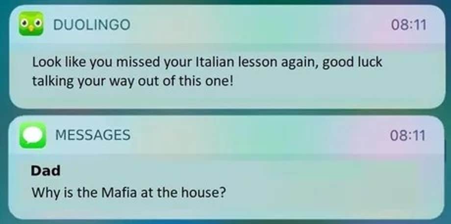 25 Best Duolingo Memes And Jokes