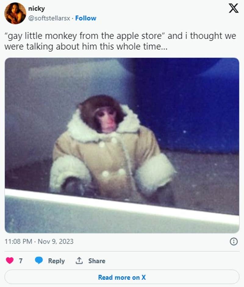Gay Little Monkey At The Apple Store Meme: A History