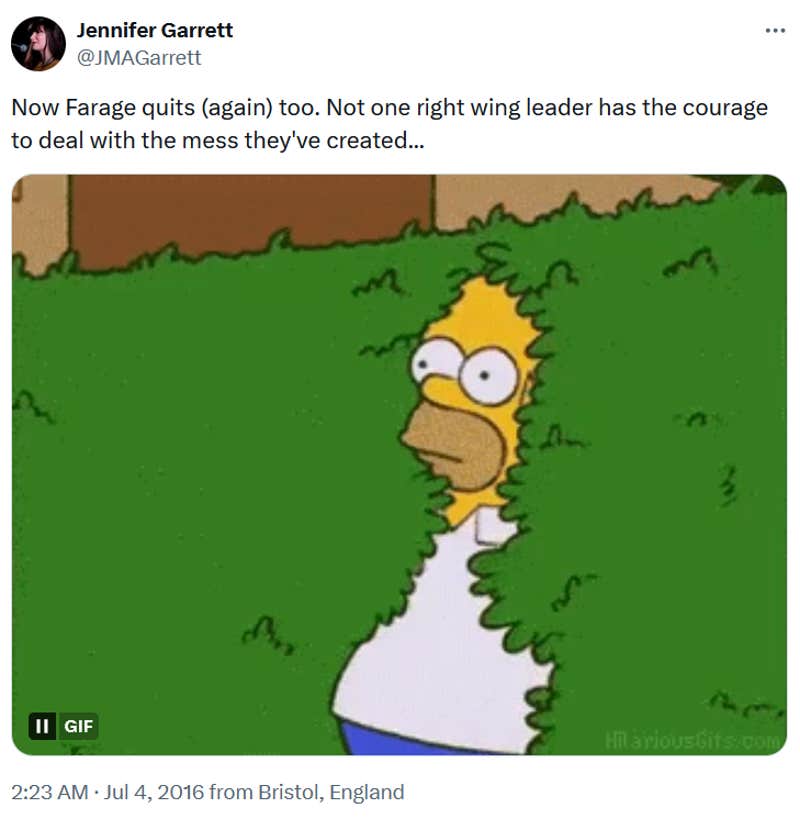 Homer Simpson Bush Meme Origins Spread And Examples