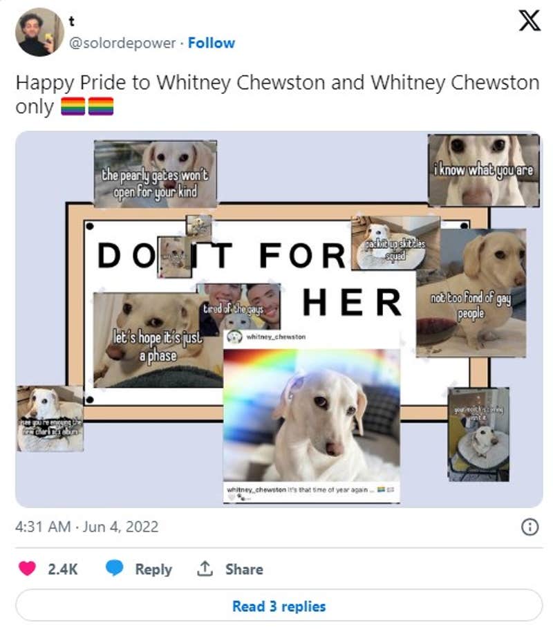 Homophobic Dog, AKA Whitney Chewston: A Gay Icon