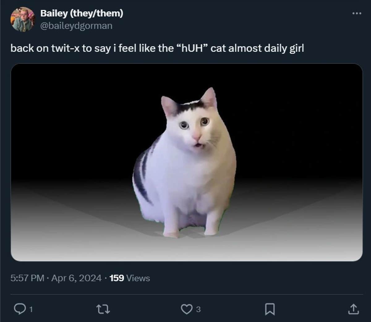 Huh Cat Meme Is Here For Life's Dumbfounding Moments