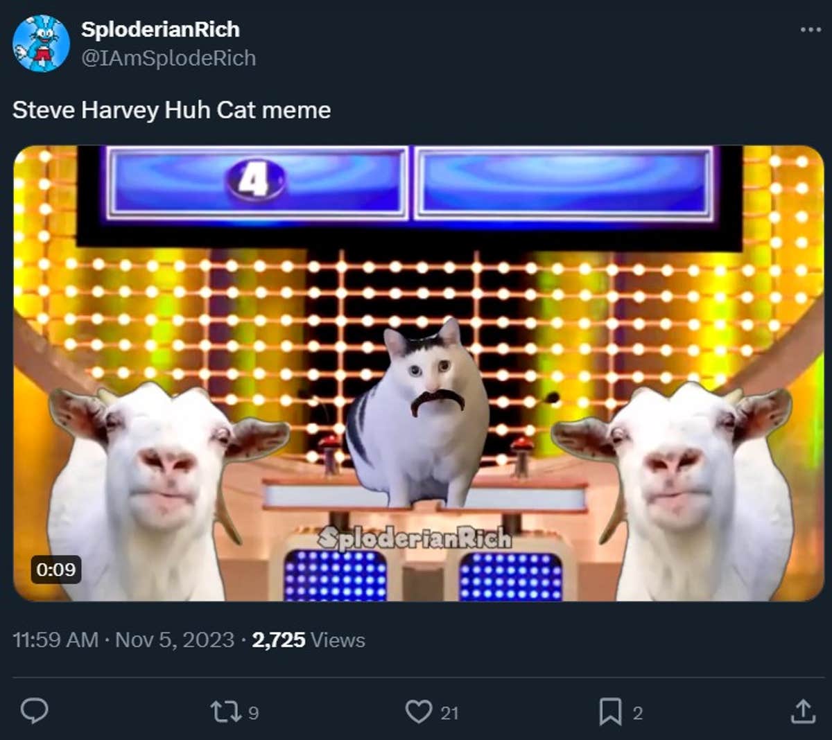 Huh Cat Meme Is Here For Life's Dumbfounding Moments