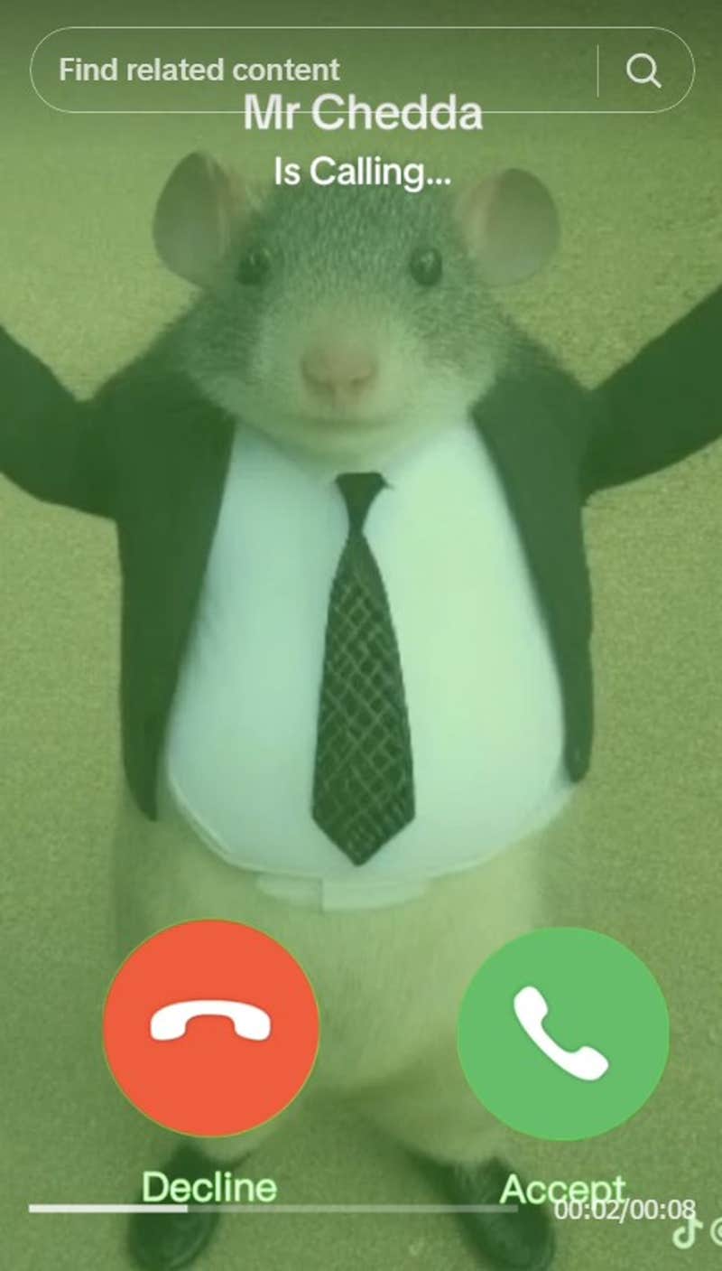 Mister Chedda: The Humble Origins Of The AI-Generated Mouse