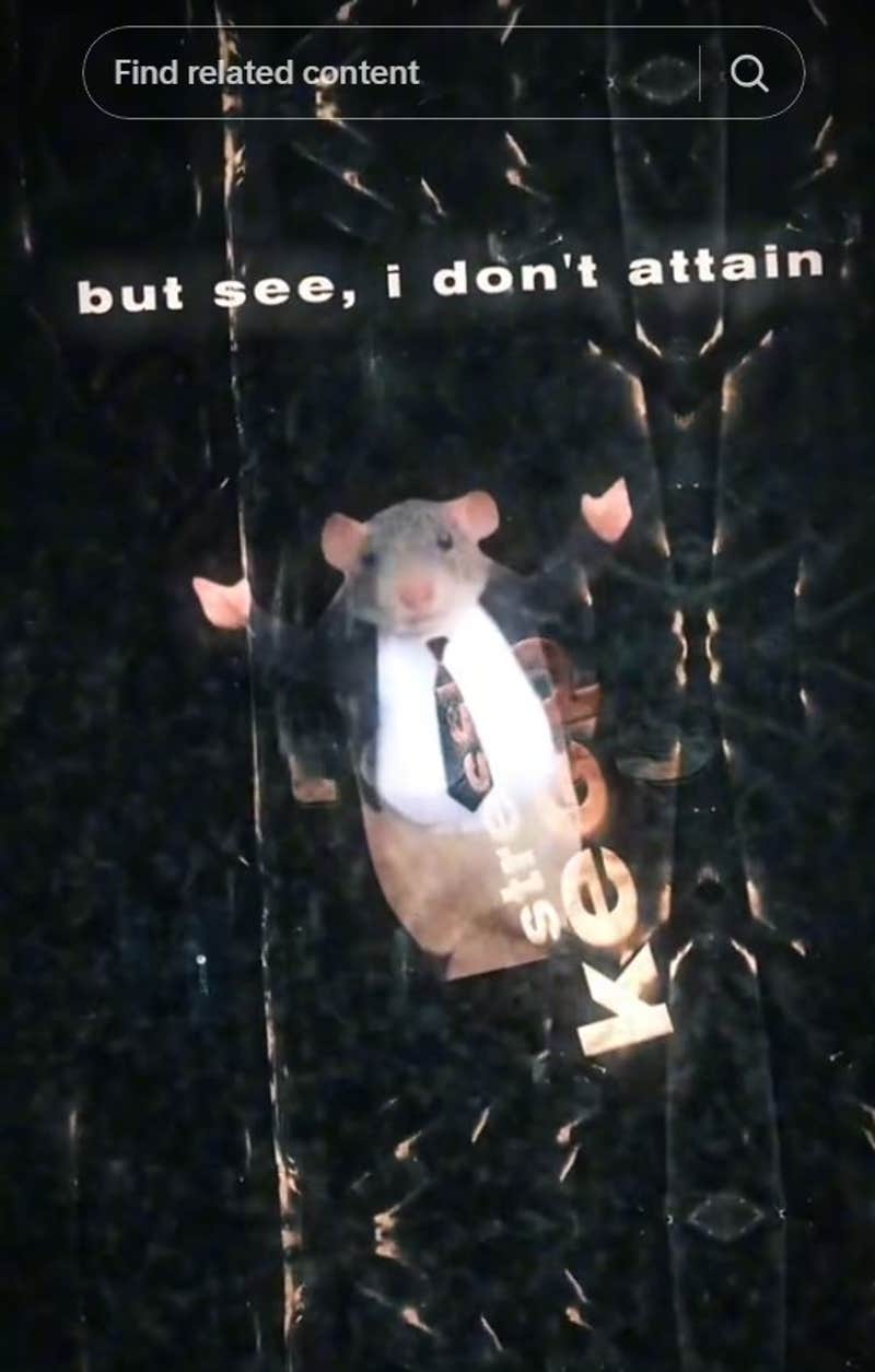 Mister Chedda: The Humble Origins Of The AI-Generated Mouse