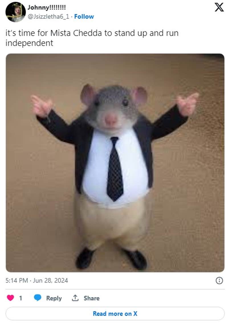 Mister Chedda: The Humble Origins Of The AI-Generated Mouse