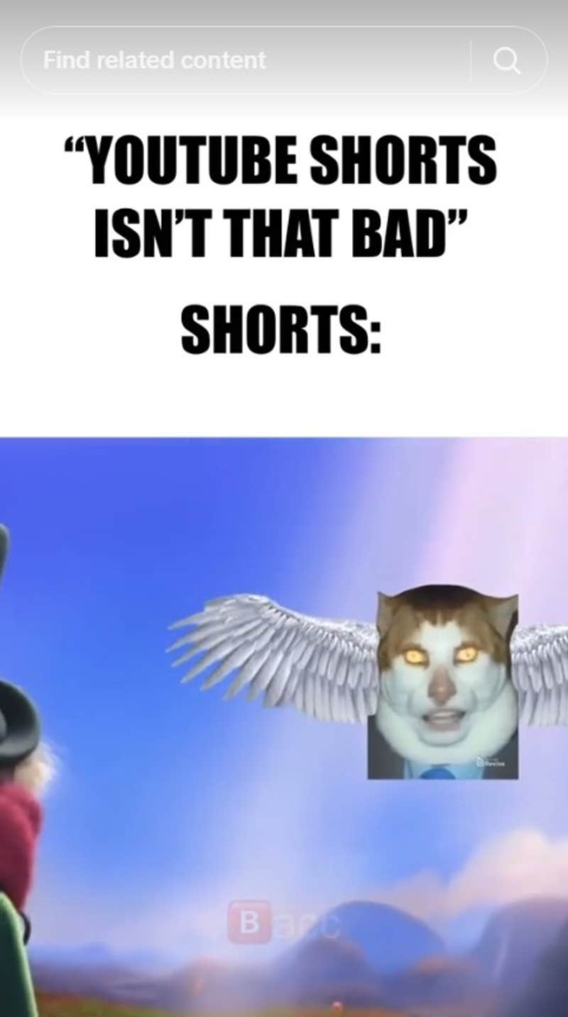 'Monday Left Me Broken Cat,' AKA Mr. Peebles, Is A TikTok Icon