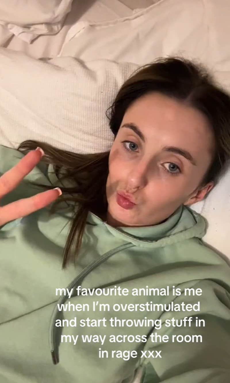My Favorite Animal Is Me TikTok Trend Takes Off