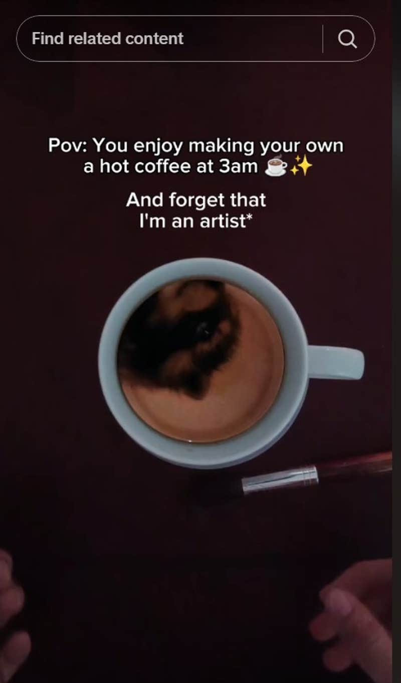 Pedro Raccoon Is TikTok's Favorite Dancer