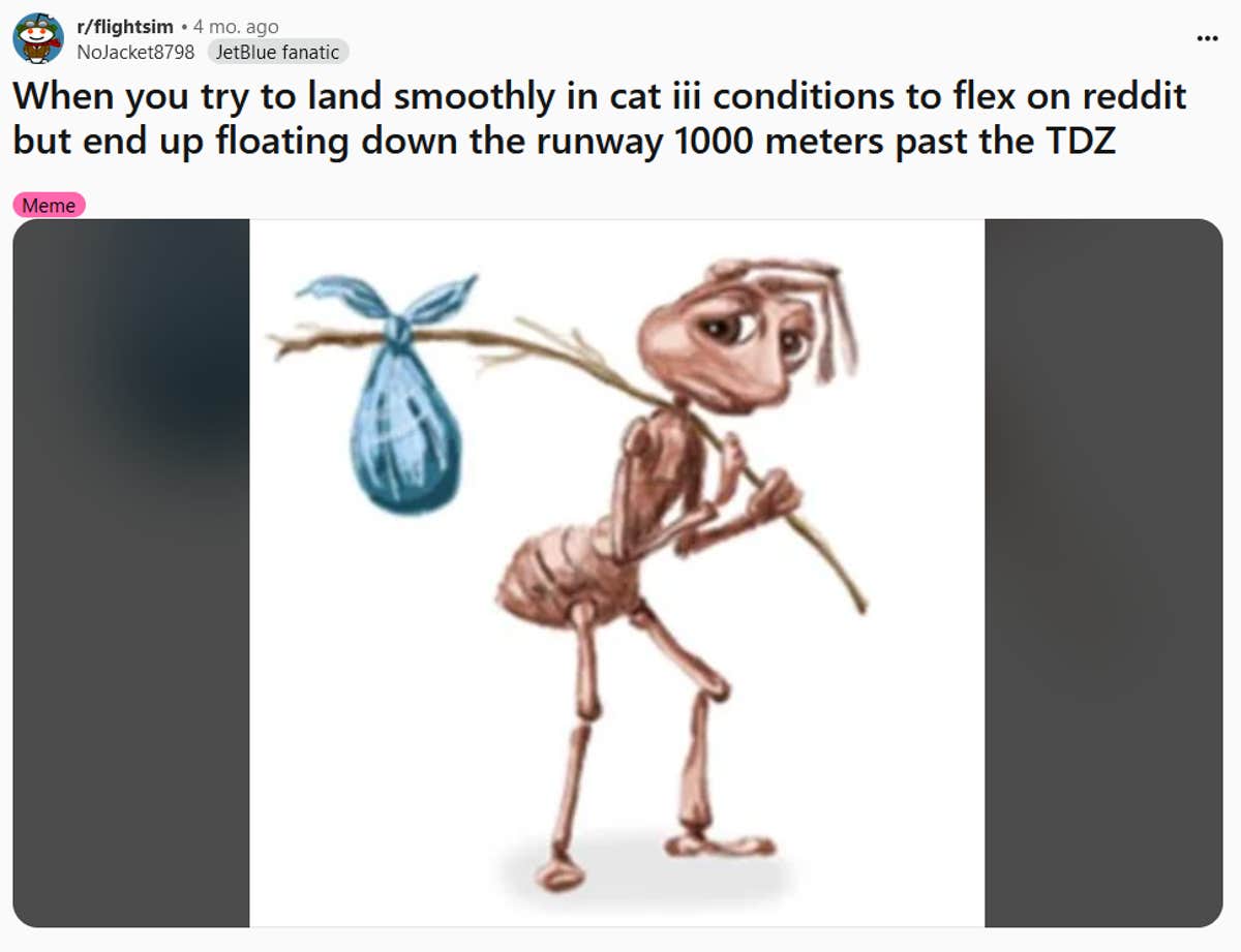 Sad Ant With Bindle Meme Origins, History, And Examples