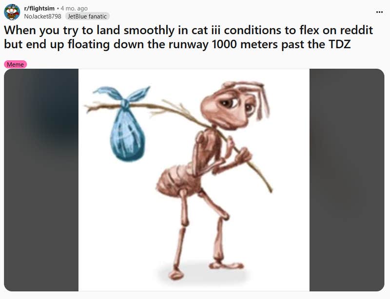 Sad Ant With Bindle Meme Origins, History, And Examples