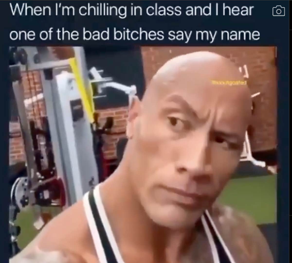 The Rock Eyebrow Raise Meme: A History