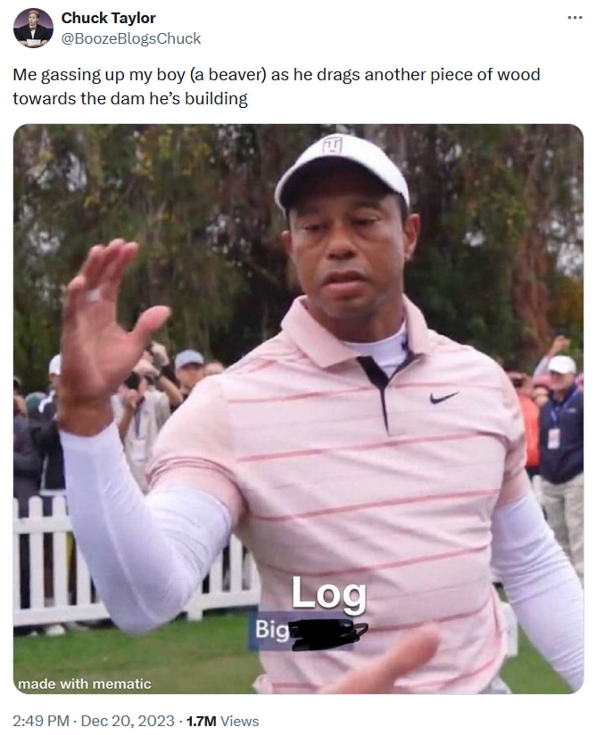 Tiger Woods Big Dog Memes Go Big