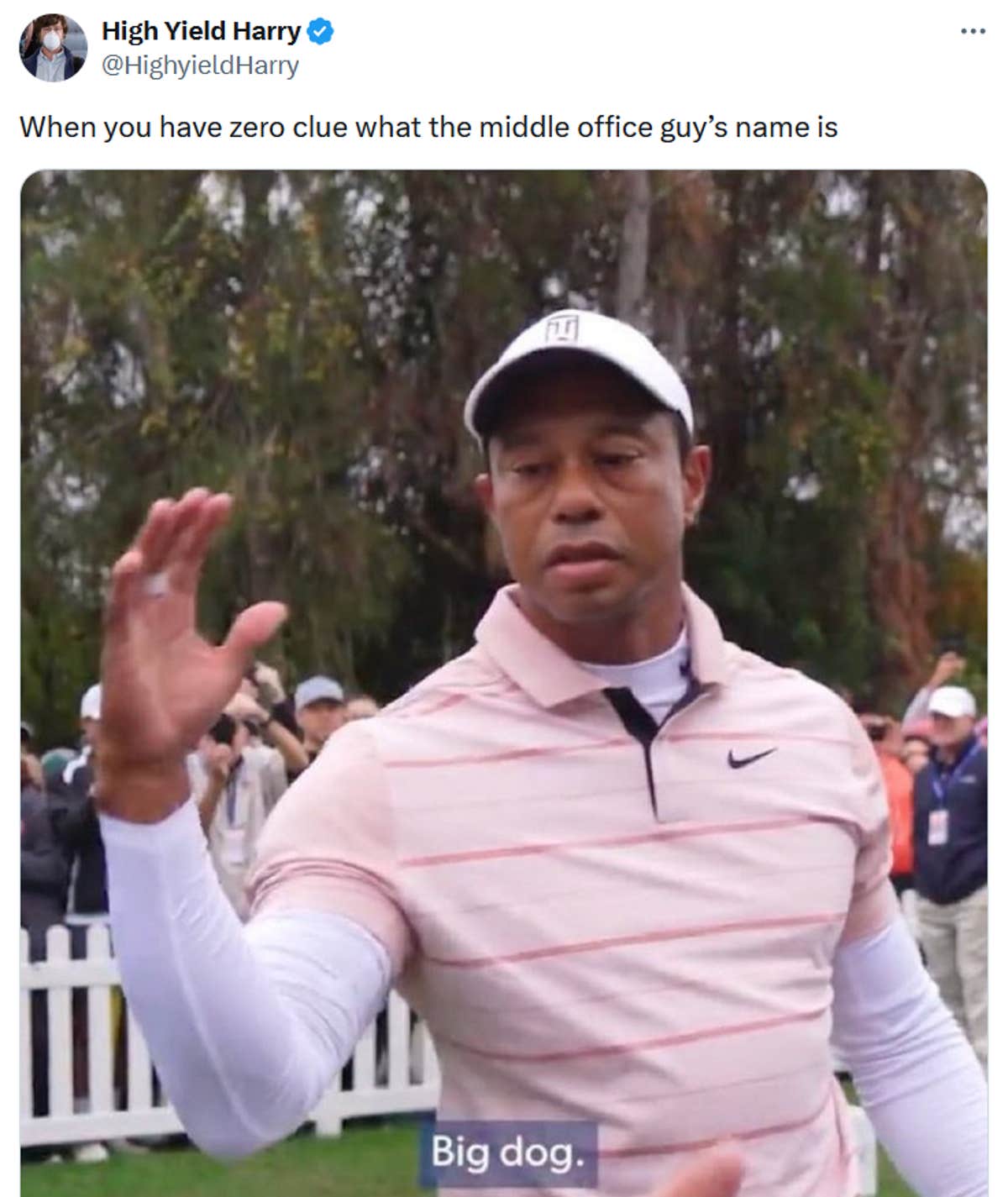 Tiger Woods Big Dog Memes Go Big