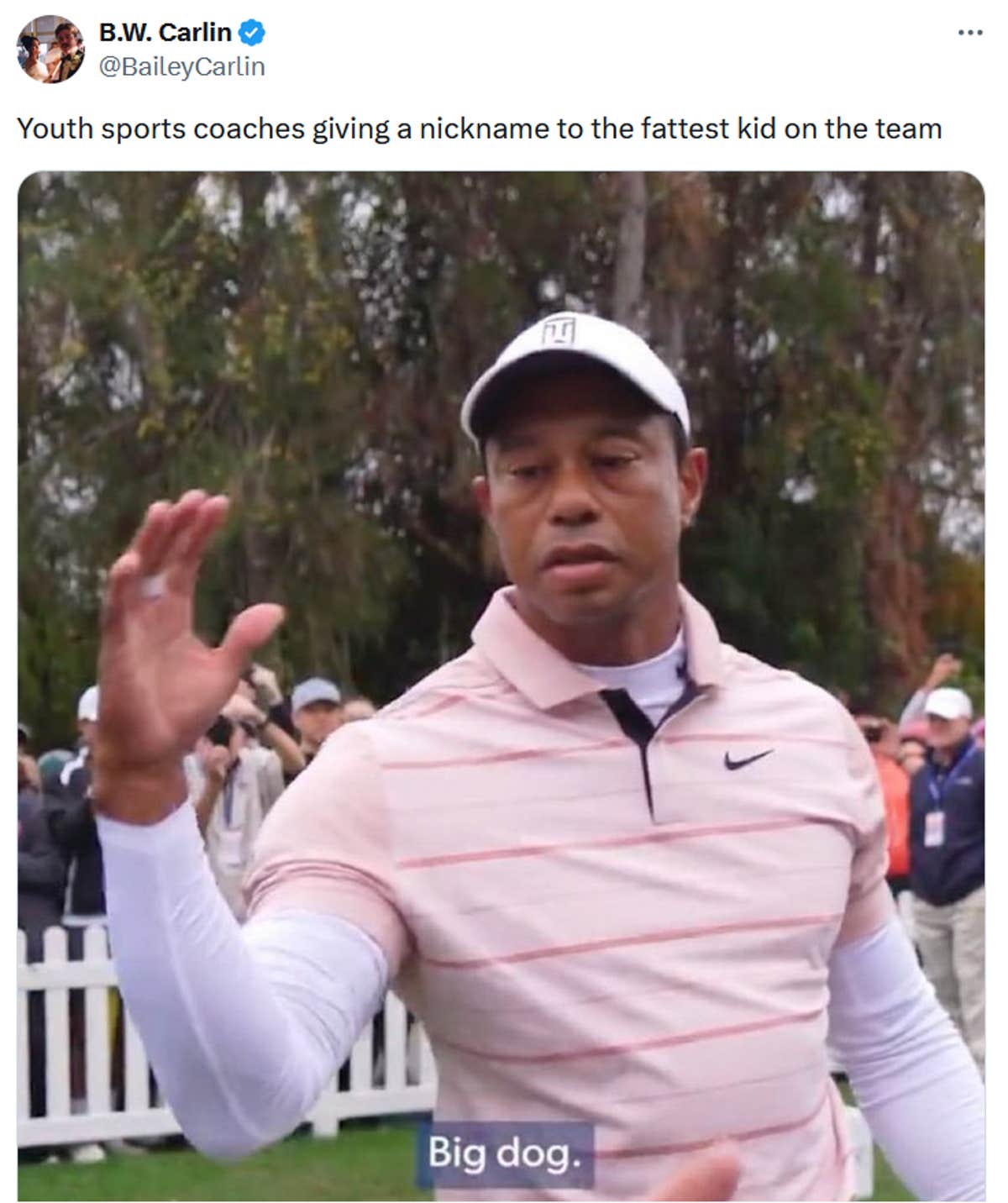 Tiger Woods Big Dog Memes Go Big