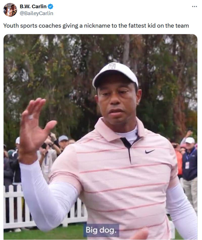 Tiger Woods Big Dog Memes Go Big
