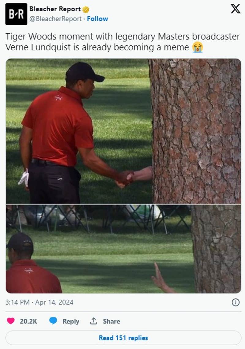 Tiger Woods Shaking Hands With A Tree Is Golf's Best Meme