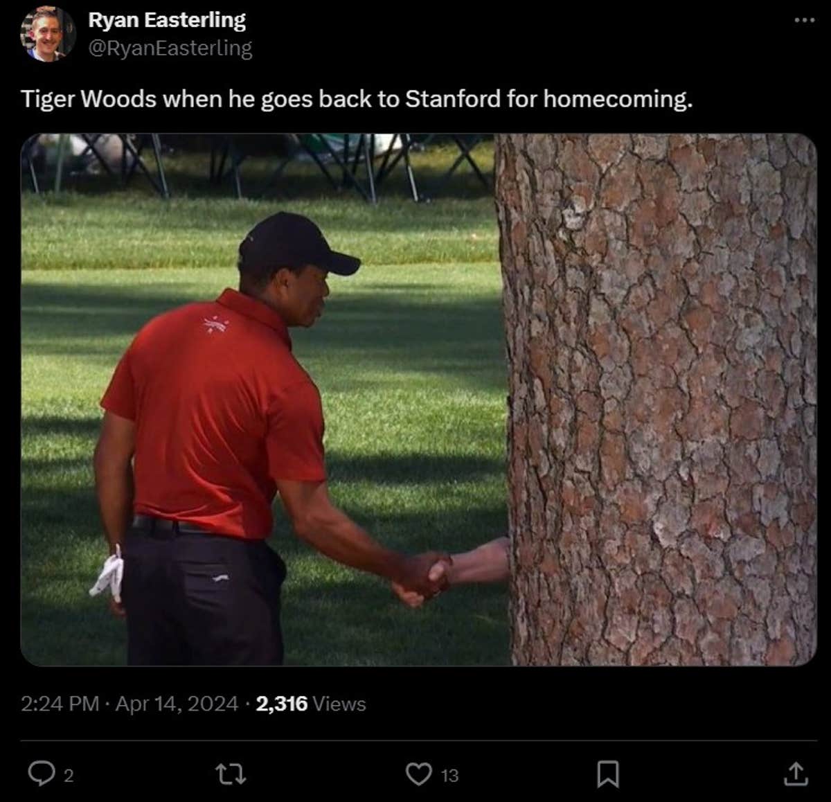 Tiger Woods Shaking Hands With A Tree Is Golf's Best Meme