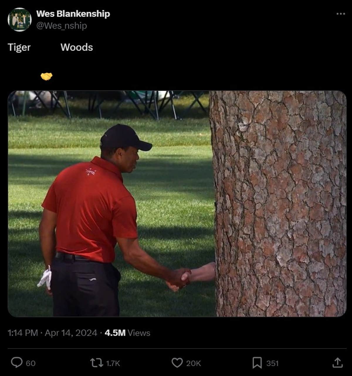 Tiger Woods Shaking Hands With A Tree Is Golf's Best Meme