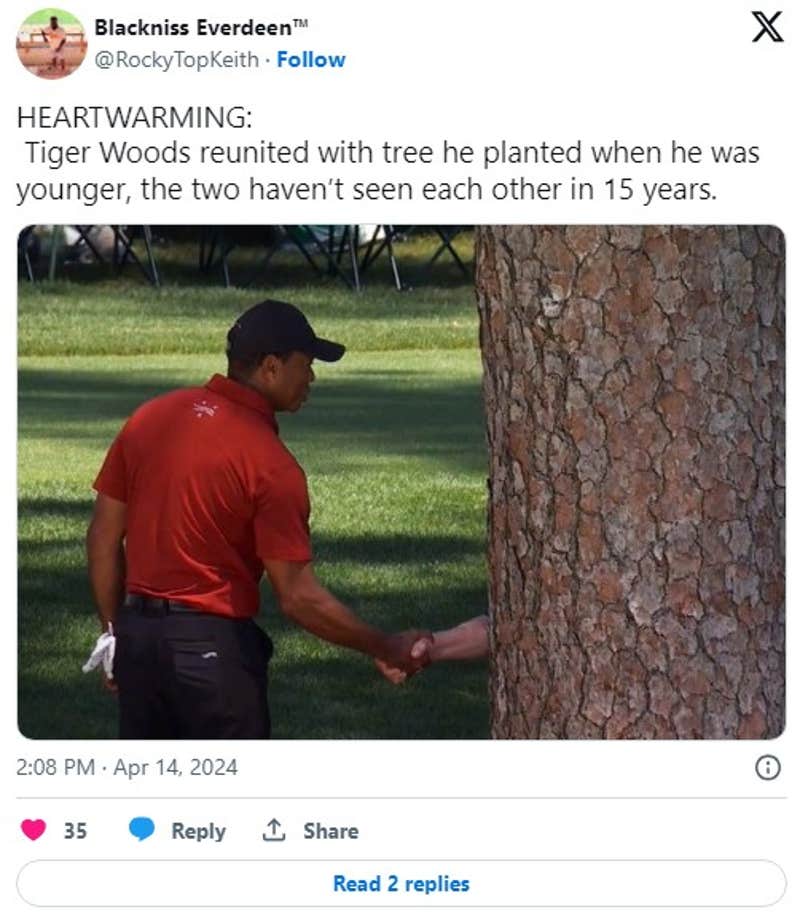 Tiger Woods Shaking Hands With A Tree Is Golf's Best Meme
