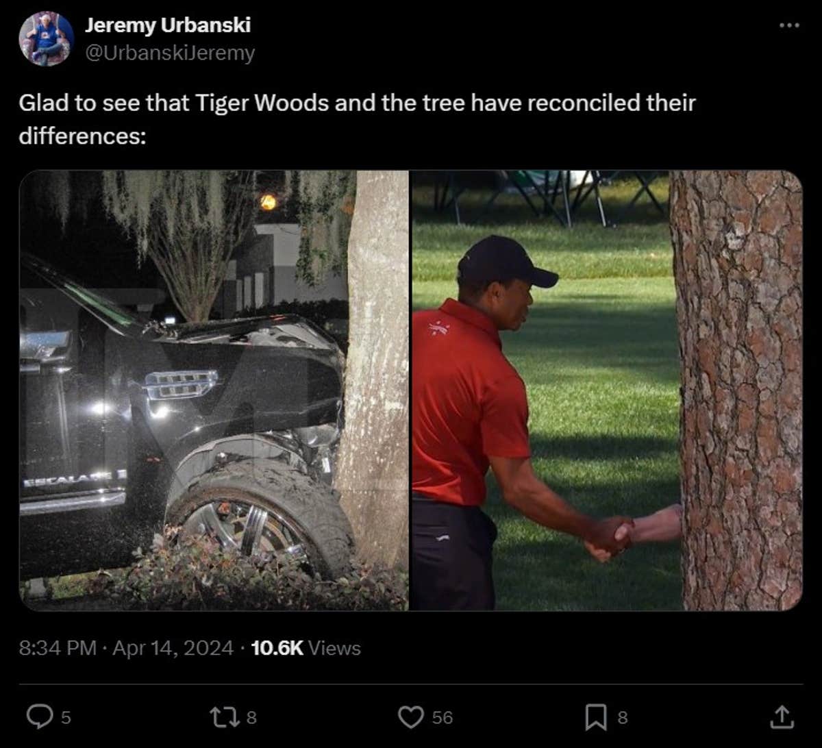 Tiger Woods Shaking Hands With A Tree Is Golf's Best Meme