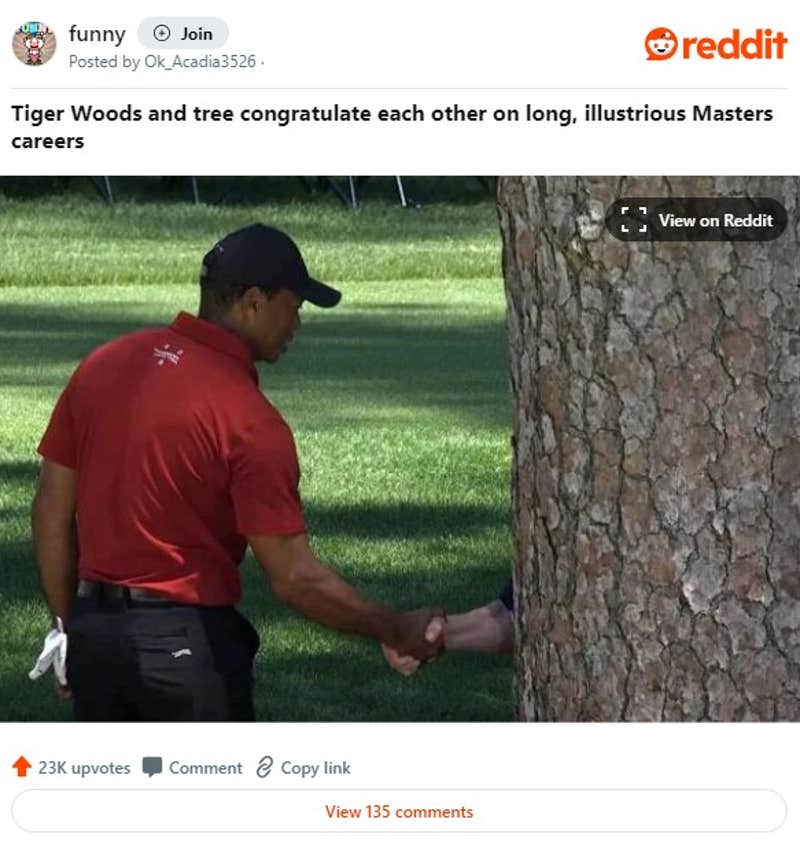 Tiger Woods Shaking Hands With A Tree Is Golf's Best Meme