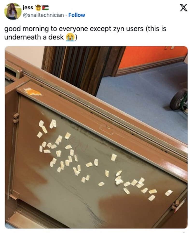 Zyn Memes Spread On The Zynterverse Due To The Zynpocalypse