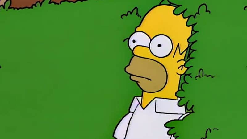 Meme History: The Simpsons Memes