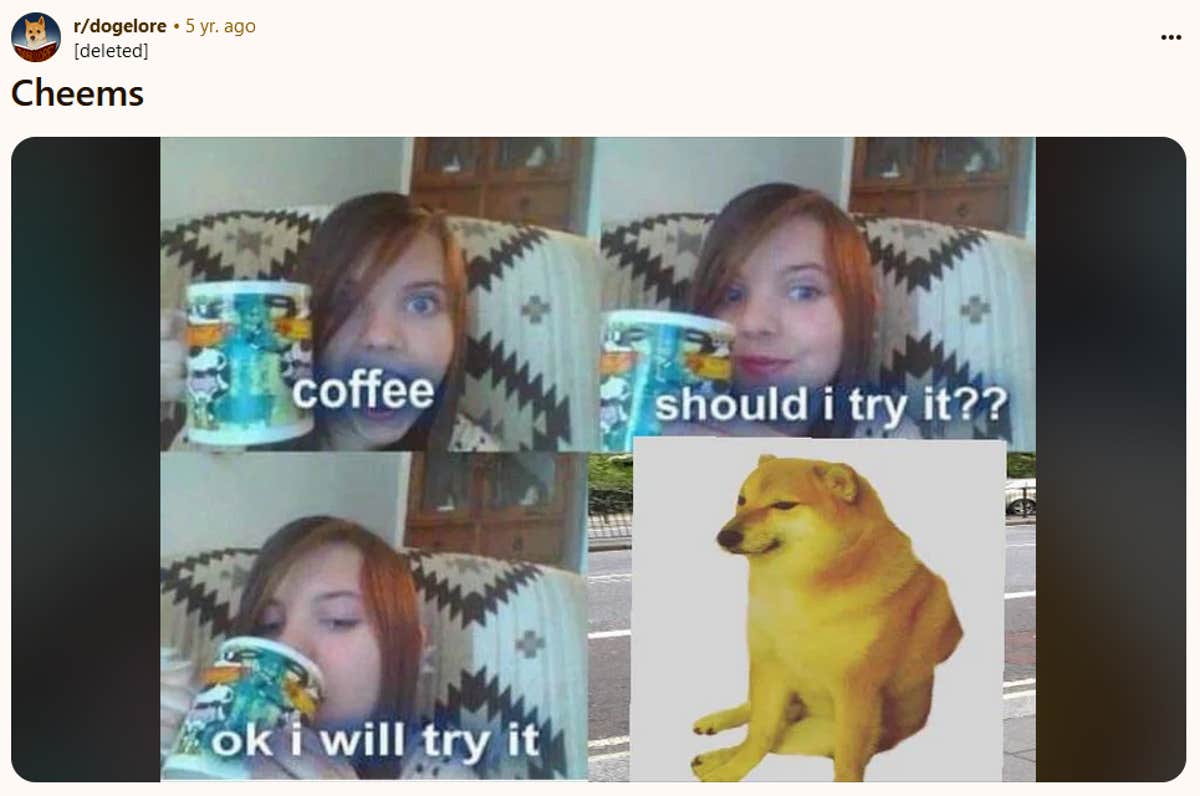 Cheems, The Doge Who Just Wanted A Cheemsburbger