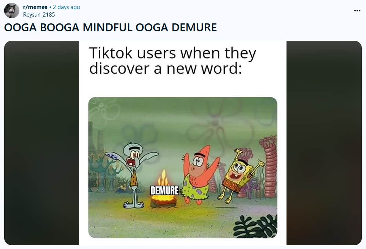 24 Of The Funniest 'Demure' Memes