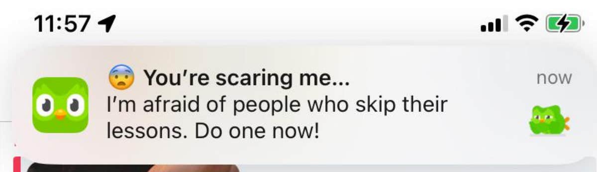 25 Best Duolingo Memes And Jokes