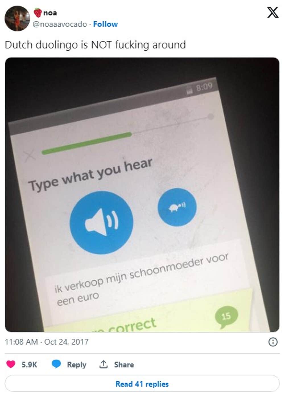 25 Best Duolingo Memes And Jokes