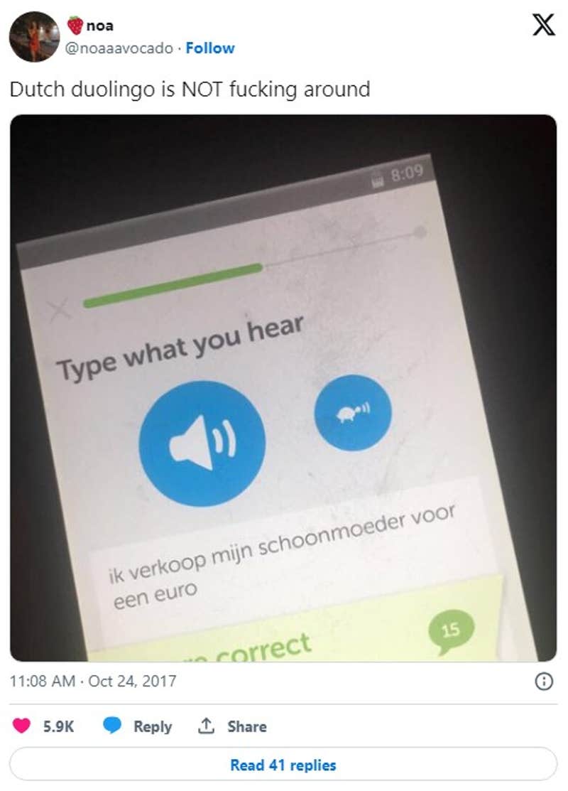 25 Best Duolingo Memes And Jokes