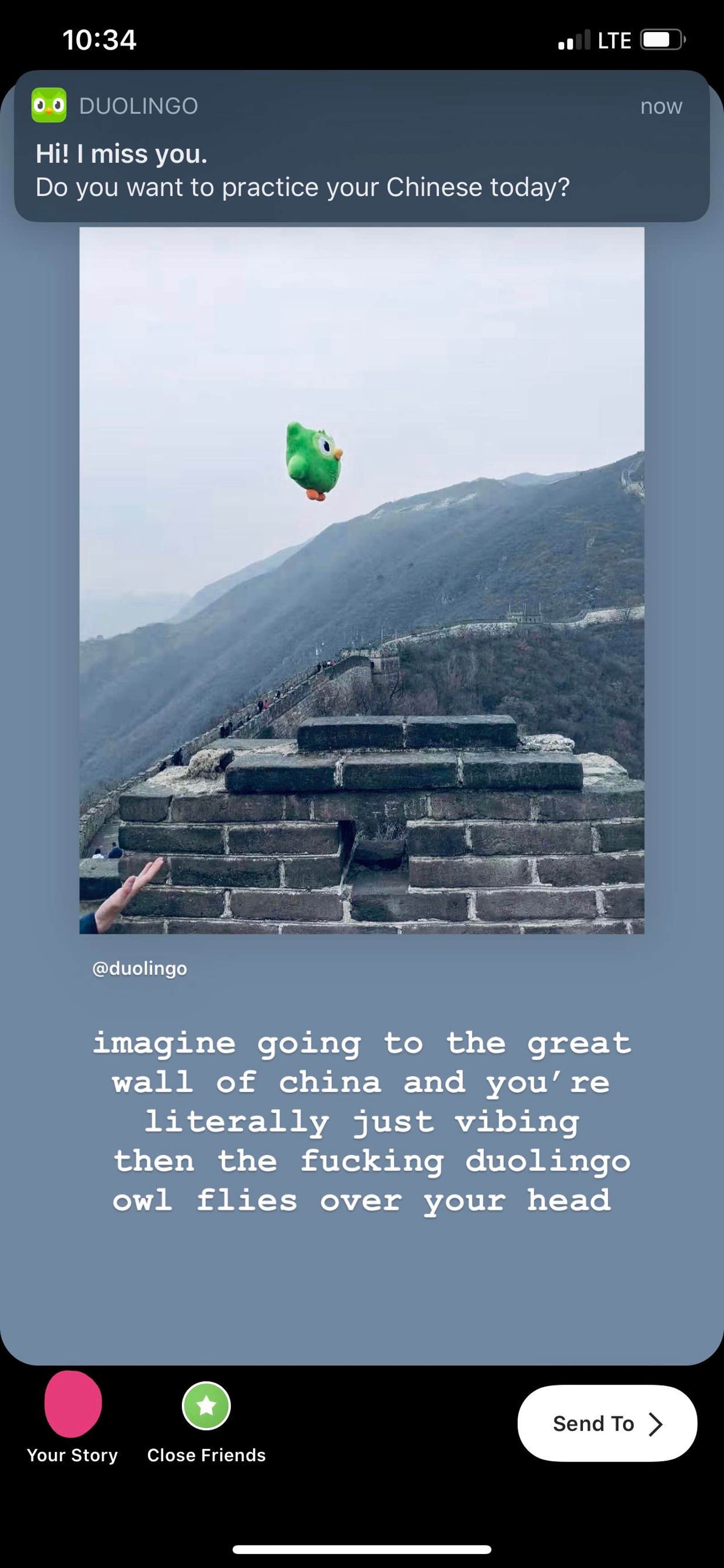 25 Best Duolingo Memes And Jokes