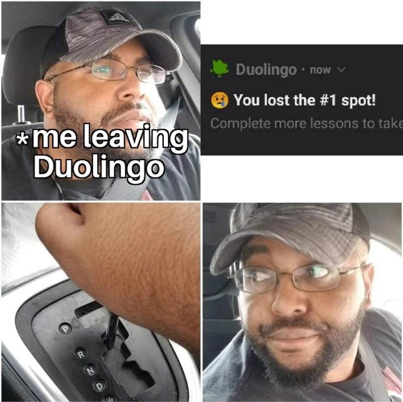 25 Best Duolingo Memes And Jokes