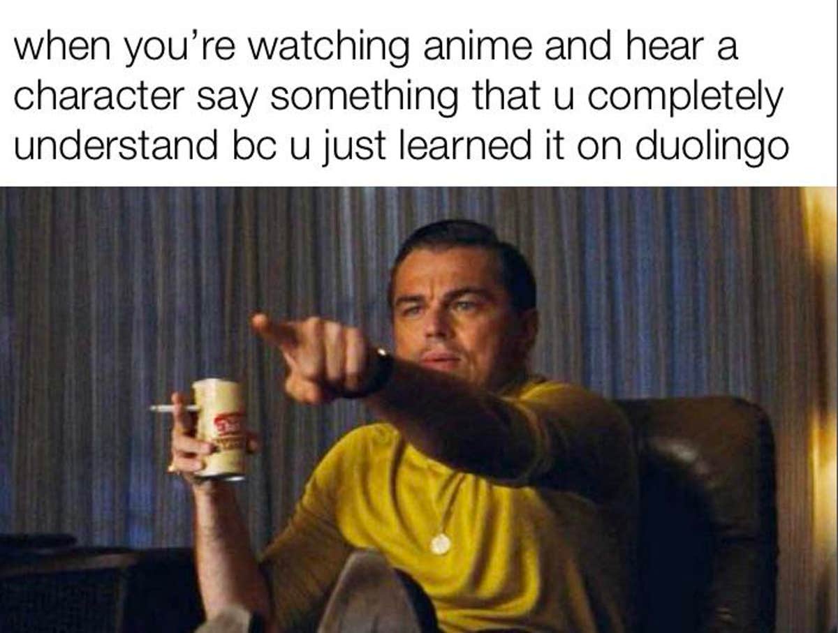 25 Best Duolingo Memes And Jokes