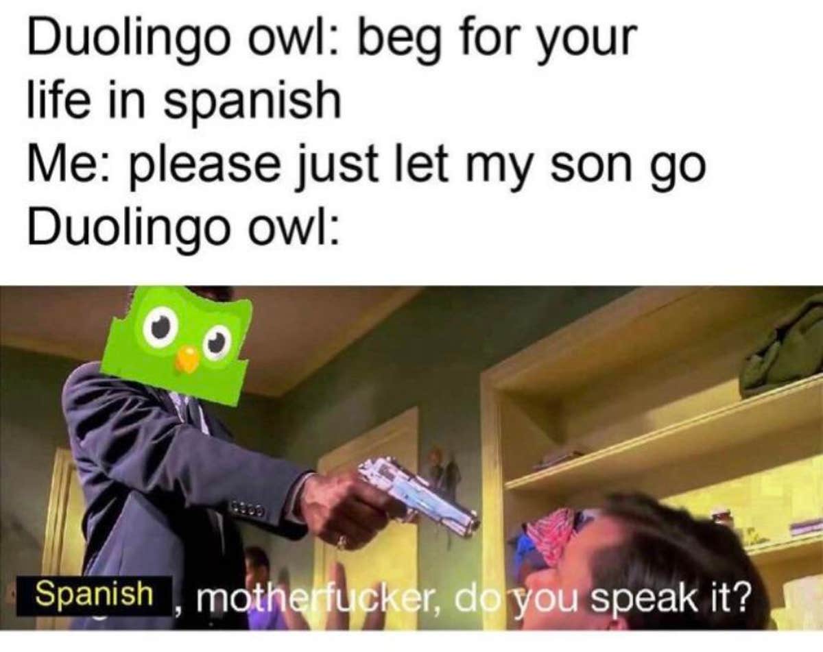 25 Best Duolingo Memes And Jokes