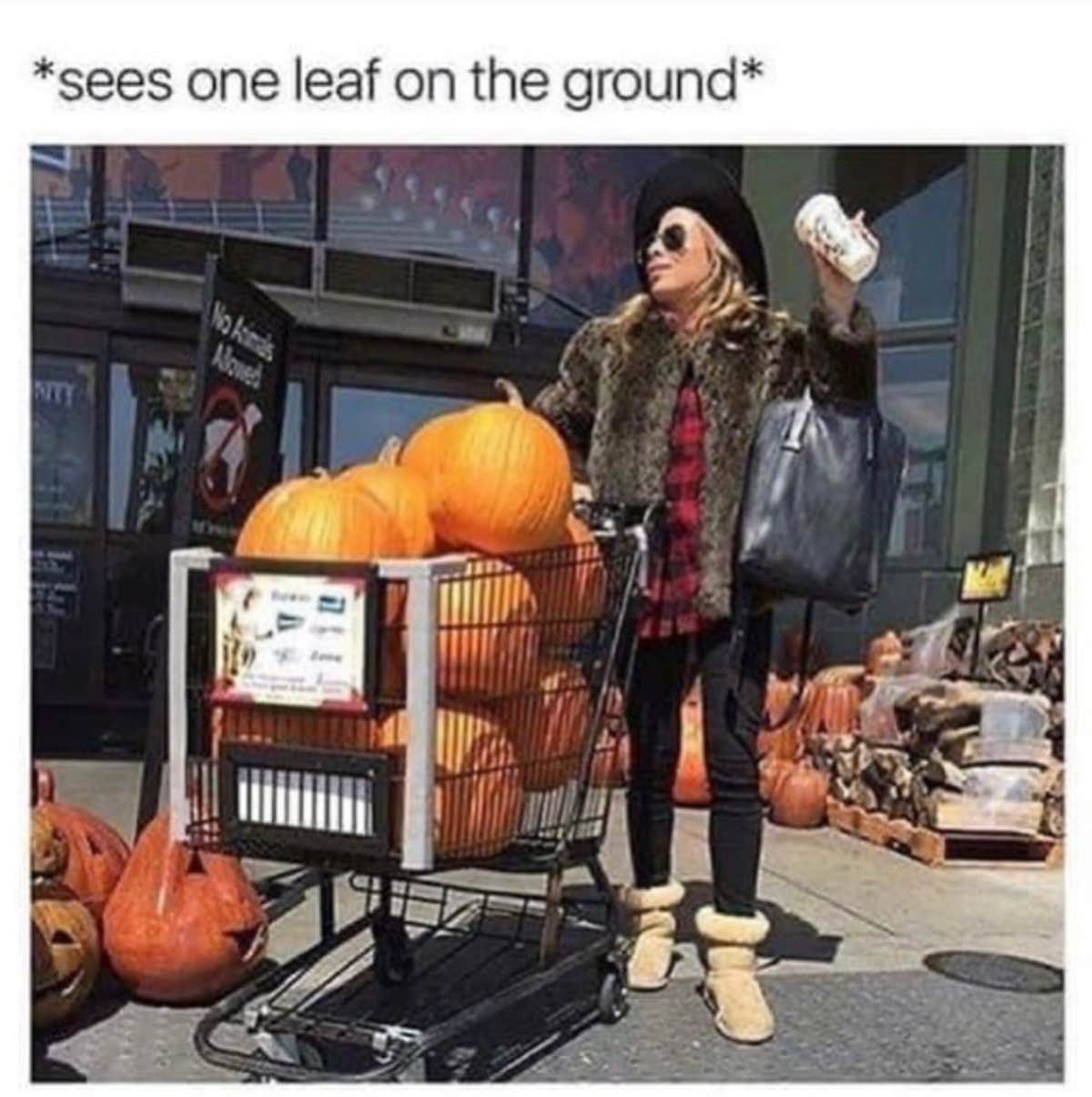 Fall Memes To Mark The Start Of Sweater Weather