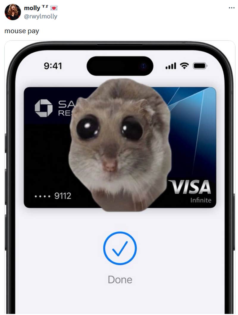 'Do You Take Mouse Pay?': The TikTok Prank Annoying Cashiers