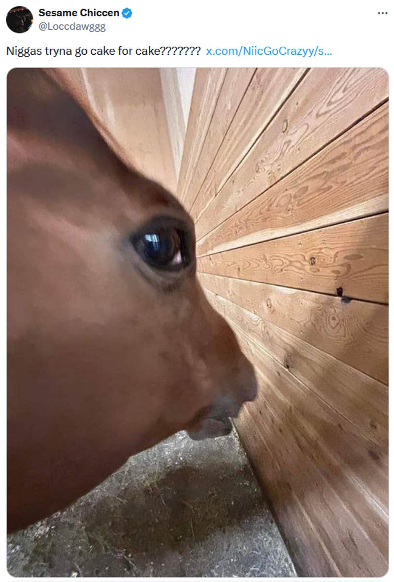 Side Eye Horse Meme