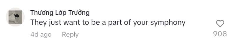 Symphony Dolphin Meme: Origins, Examples, And Zara Larsson