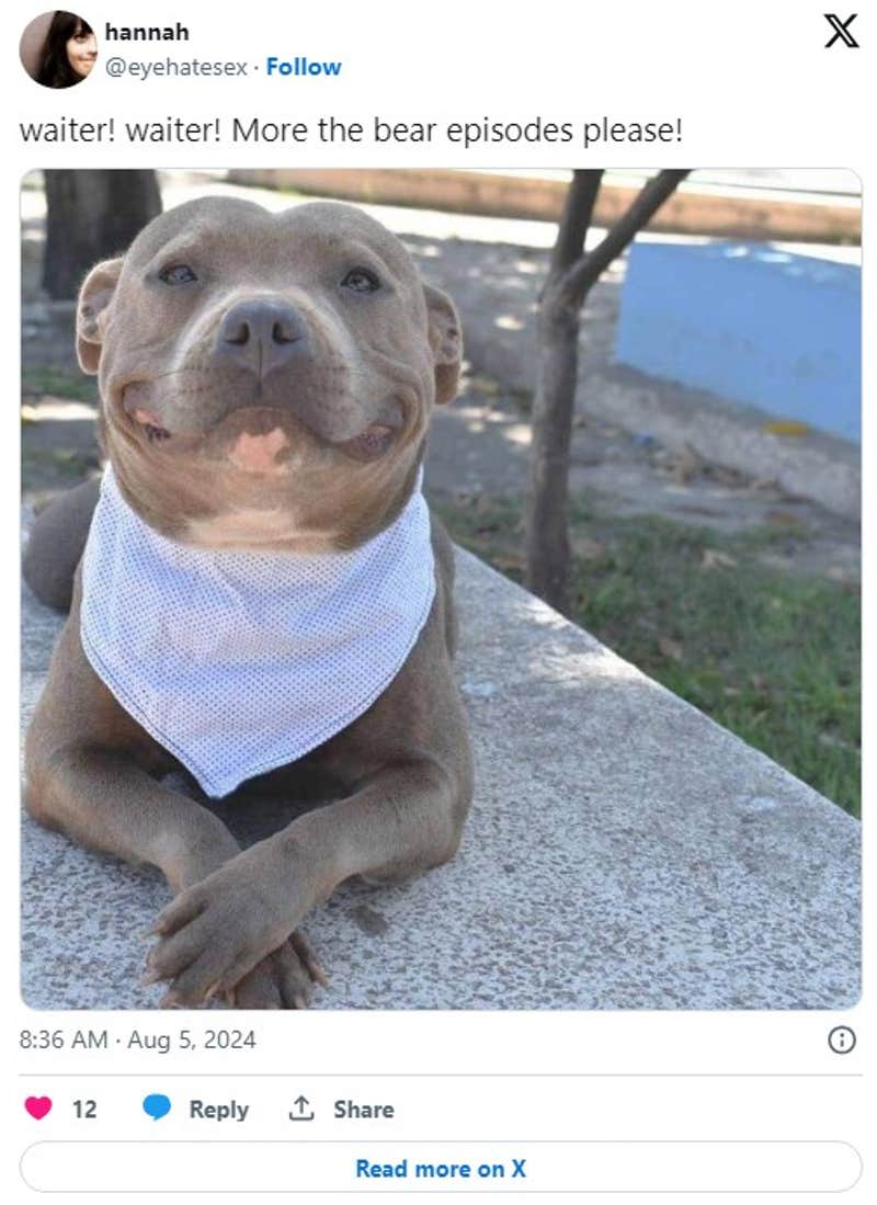 Waiter! Waiter! More Toddlers Please!!—Origins Of The Pit Bull Meme