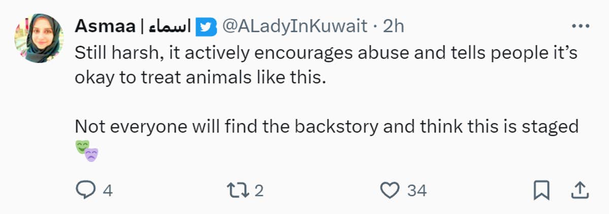 XiaoPang The Orange Chinese Dog Is Delighting Social Media