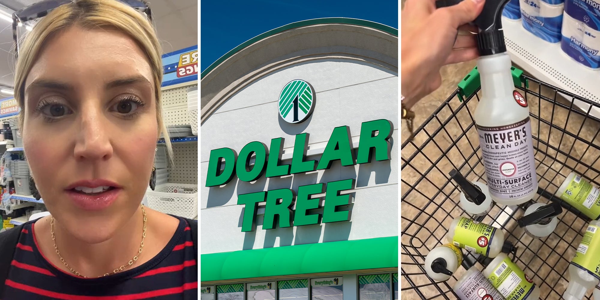 Dollar Tree Shopper Shows Mrs. Meyer’s Products at Dollar Tree Shopper ...