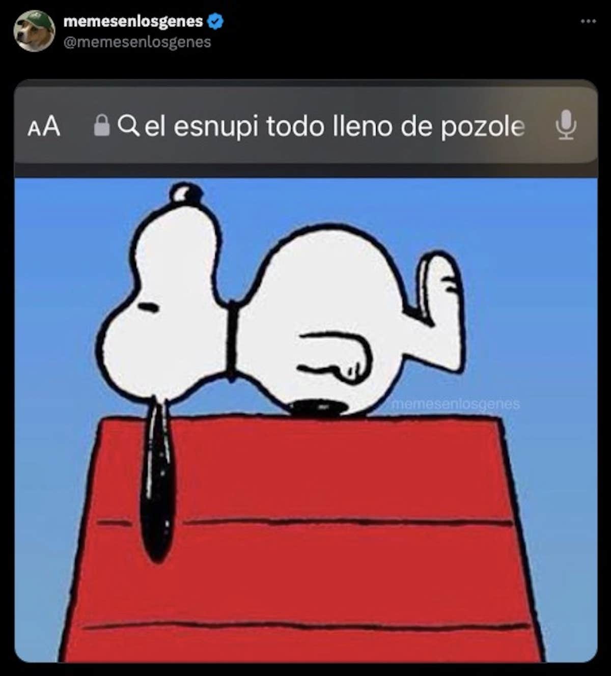 Esnupi, The Spanish Snoopy: Meme Origins & Examples