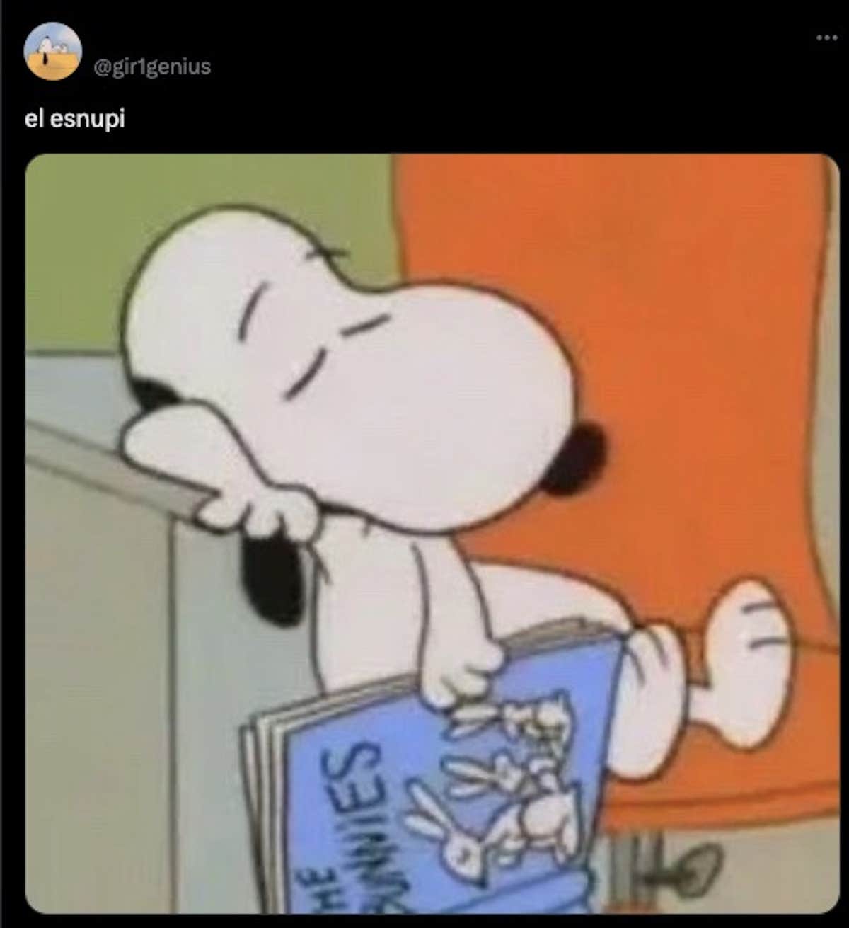 Esnupi, The Spanish Snoopy: Meme Origins & Examples