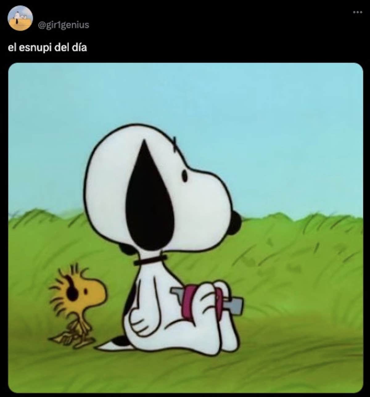 Esnupi, The Spanish Snoopy: Meme Origins & Examples