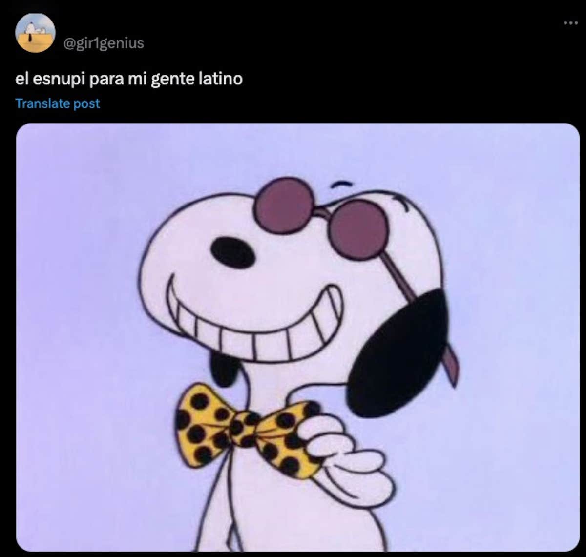 Esnupi, The Spanish Snoopy: Meme Origins & Examples