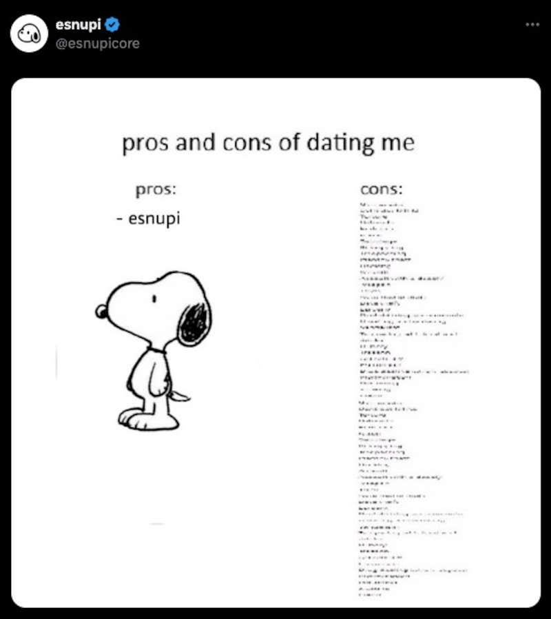 Esnupi, The Spanish Snoopy: Meme Origins & Examples