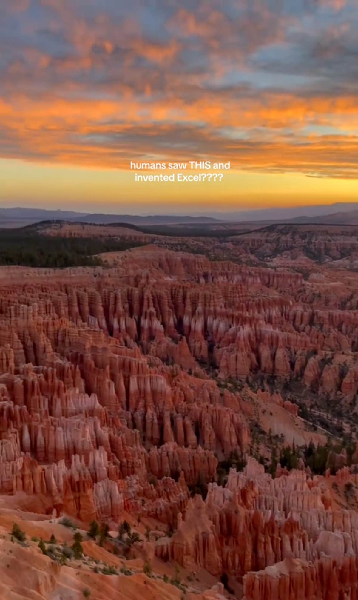 Humans Saw This: The Meme About Nature, Explained
