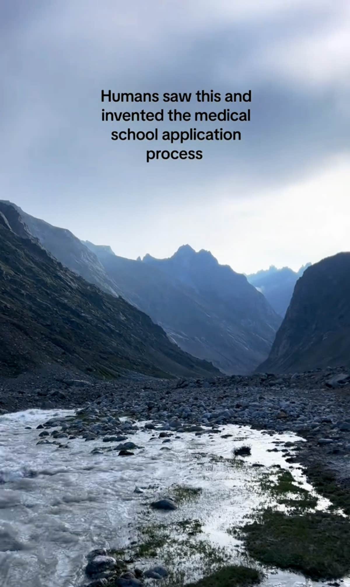 Humans Saw This: The Meme About Nature, Explained